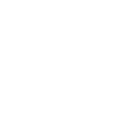 Understanding Salvage, Rebuilt, and Clean Car Titles - TSL Insurance Group